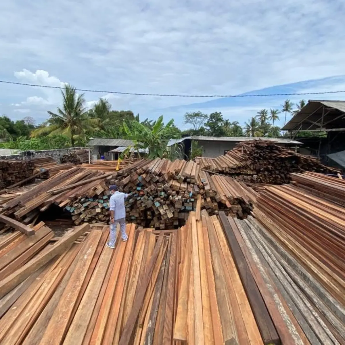 Mengapa Kayu Ulir Menjadi Pilihan Utama dalam Desain Interior ...