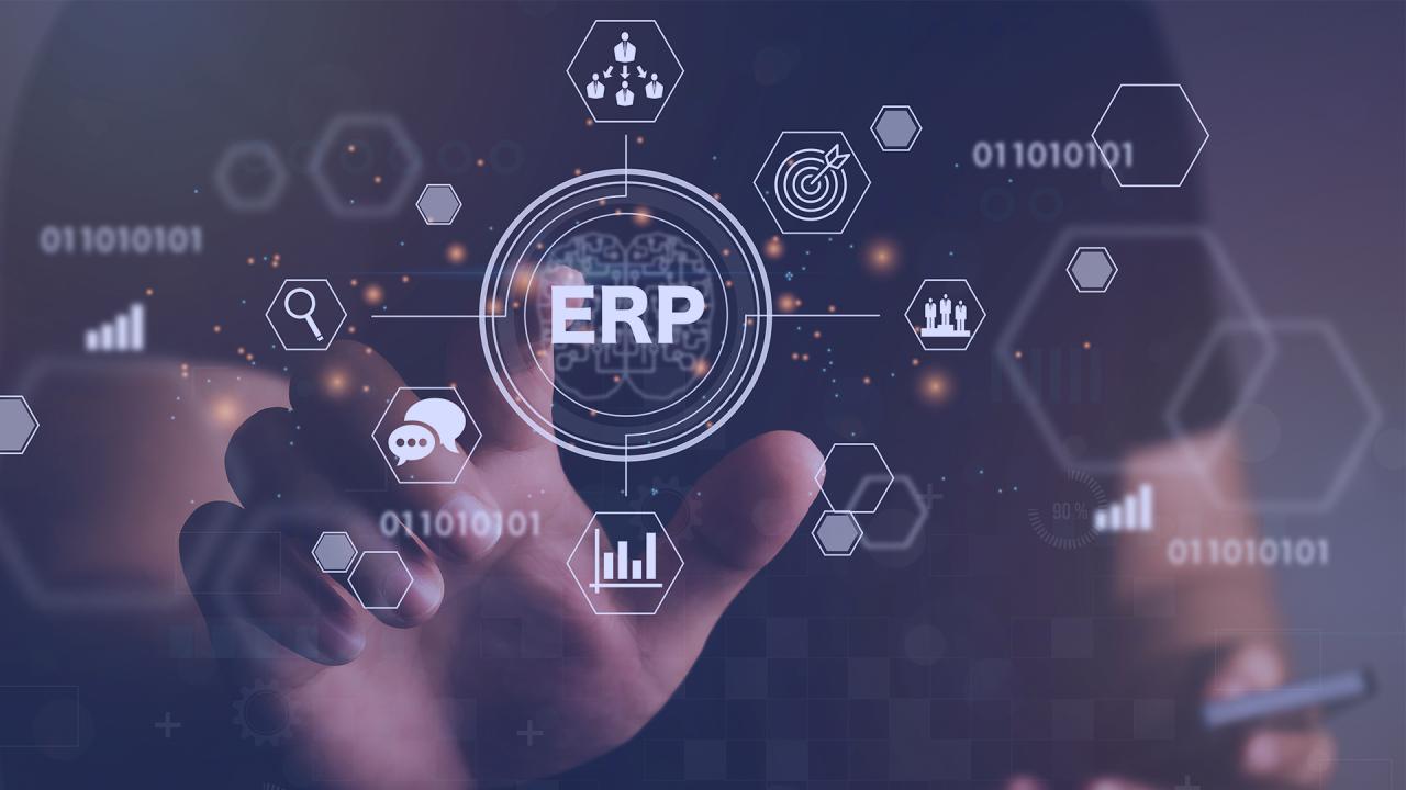 Macam Macam Software ERP dan Keunggulan Masing-masing - Easy Access Article